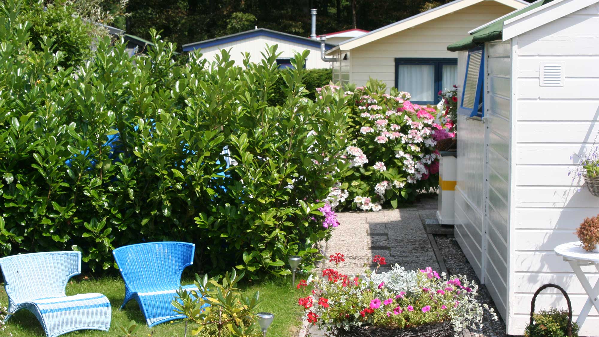 Molecaten Park Van Iterson | Vaste staanplaatsen in Rockanje