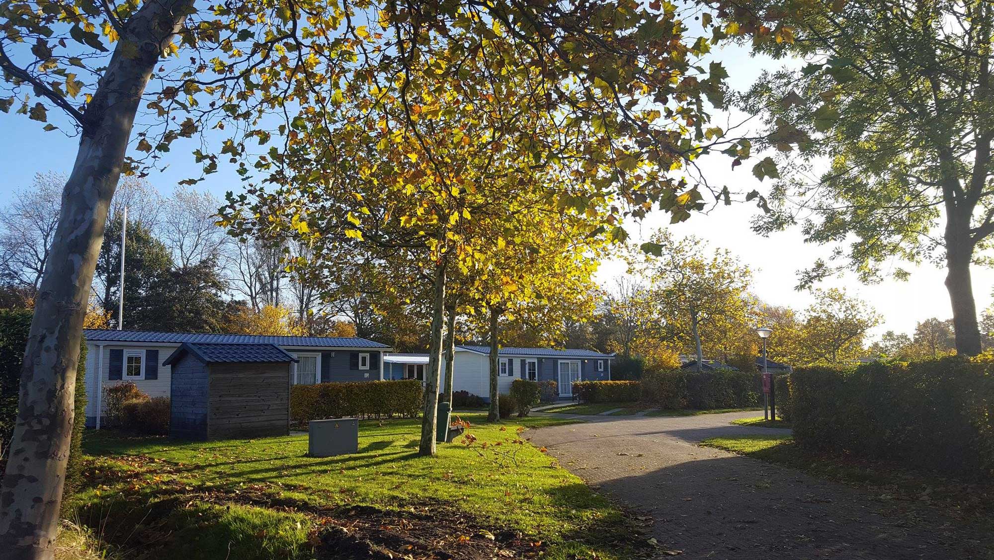 Kamperen op camping Wijde Blick in Renesse | Molecaten